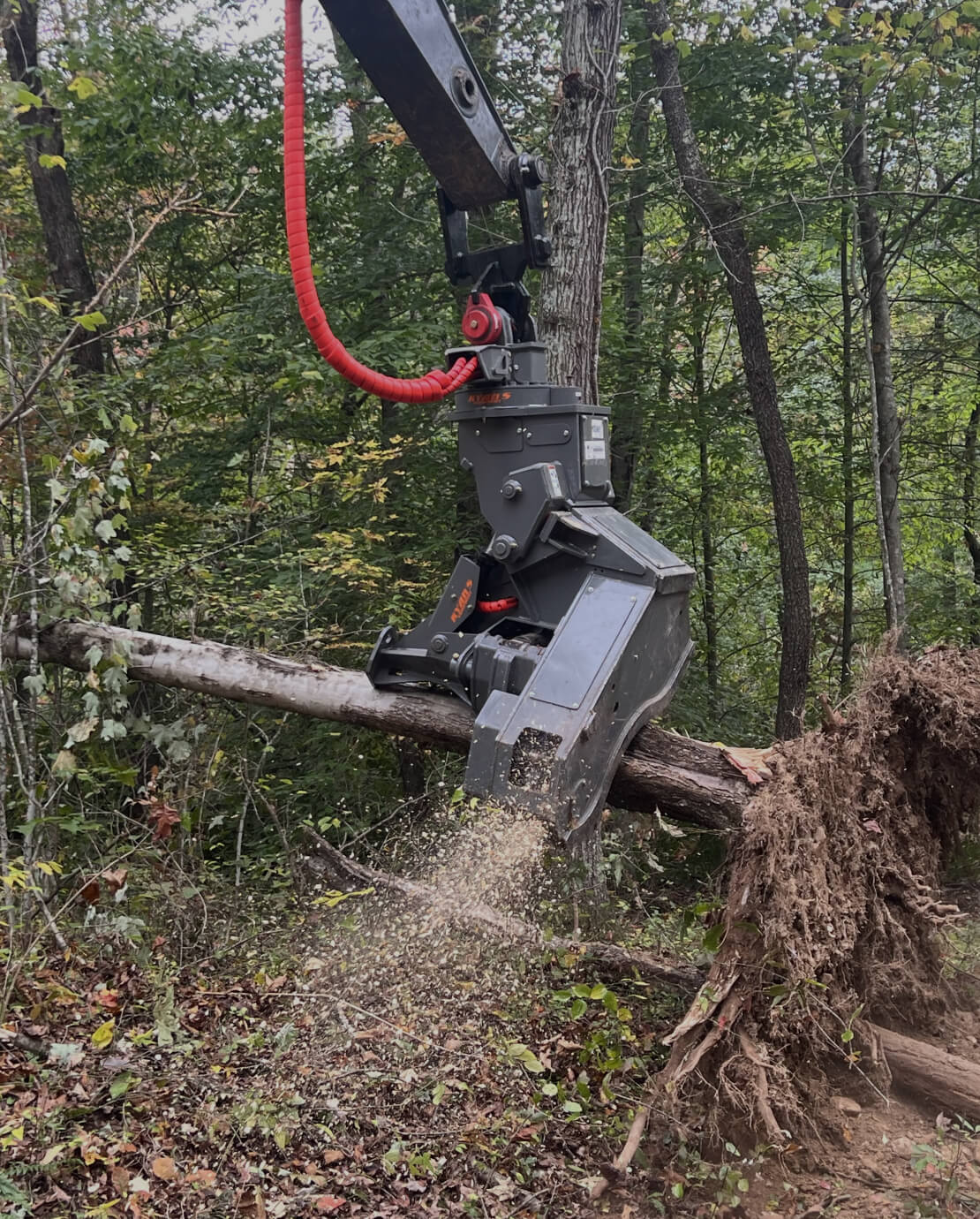 Tree Saw: Best Options for Professional Landscaping and Removal