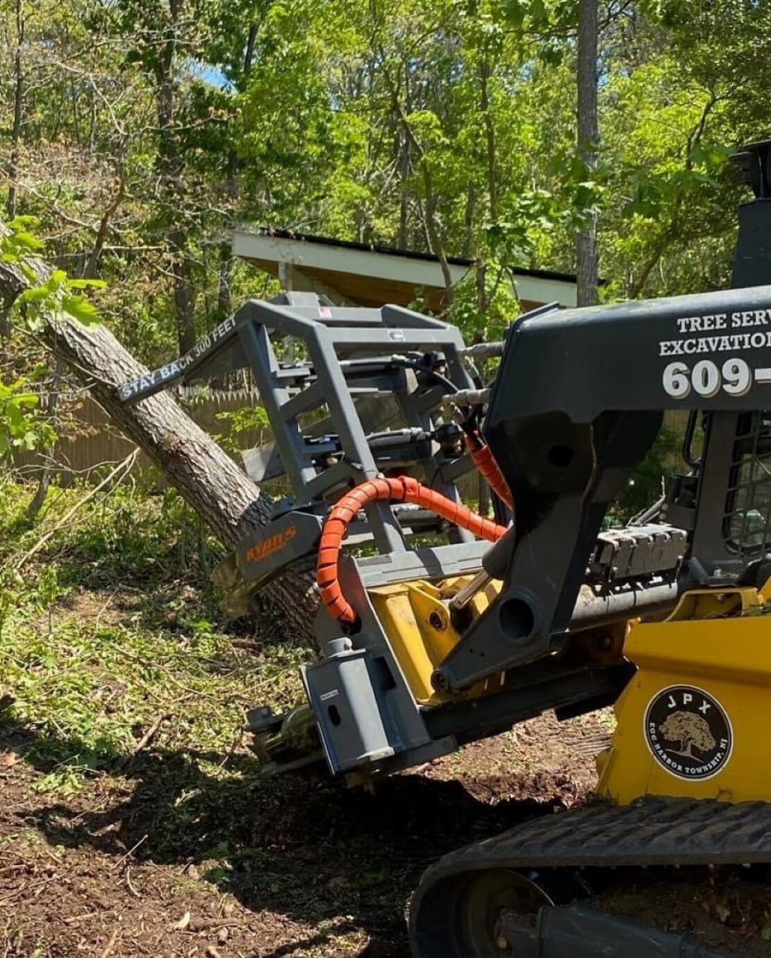 Tree Shears: Best Tools for Efficient Tree Trimming and Cutting