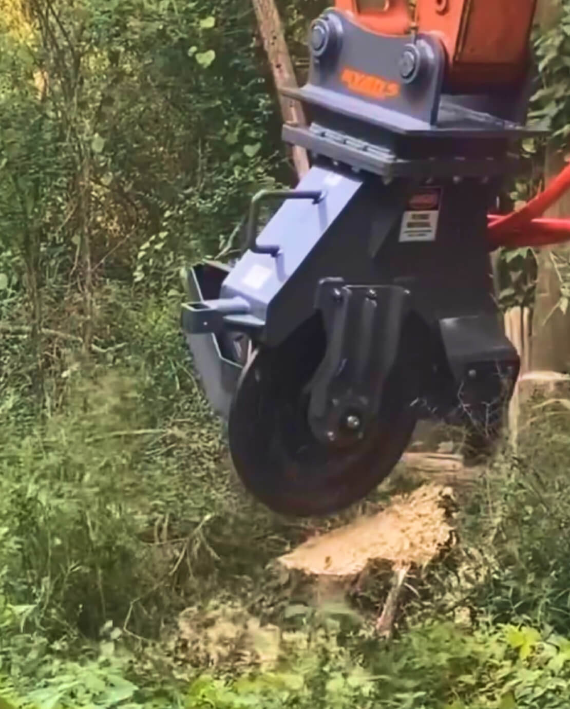 Stump Grinder: Top Equipment for Professional Stump Removal